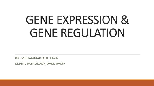 GENE EXPRESSION AND REGULATION.pptx
