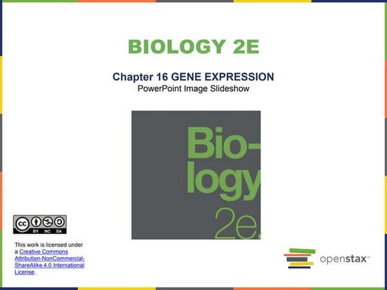 Eukaryotic gene expression | PPTX