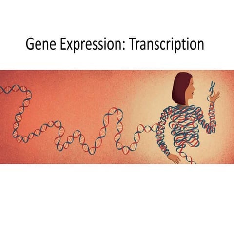 Gene expression | PPT