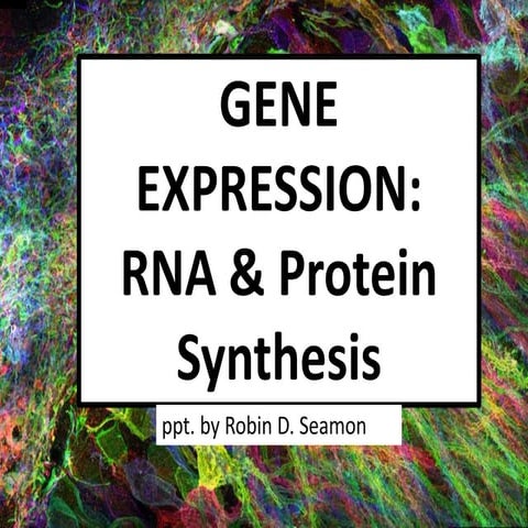 Gene expression/ RNA & Protein Synthesis | PPTX