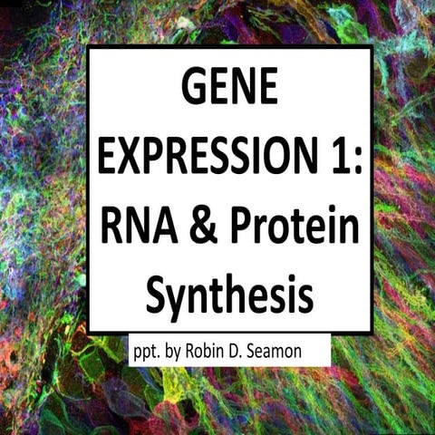 Gene Expression/ Protein Synthesis | PPTX