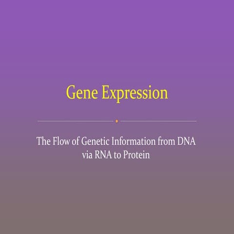 Gene Expression_AA1.ppt