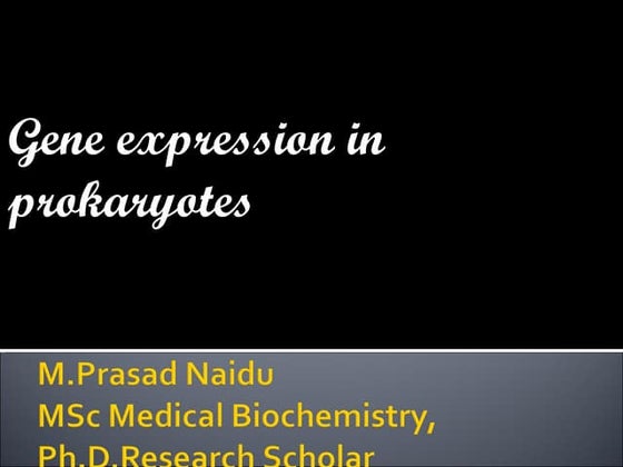 Regulation of Gene Expression in Prokaryotes | PPTX