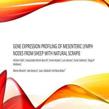 Gene expression profiling of mesenteric lymph nodes from scrapie affected sheep.pptx