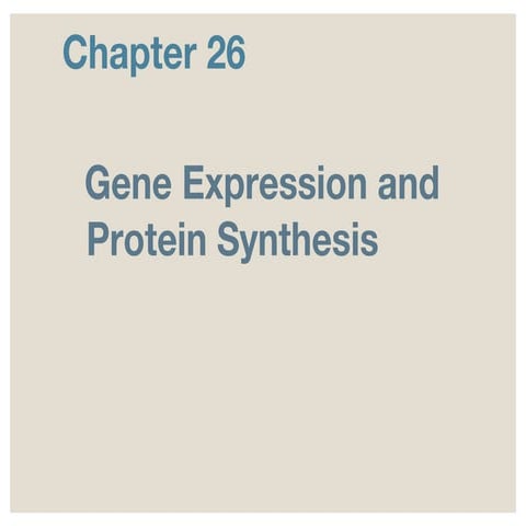 Gene expression & protein synthesis | PPTX | Programming Languages ...