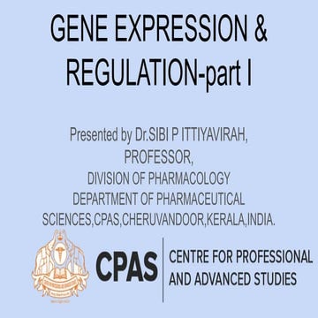 Gene expression & regulation | PPT