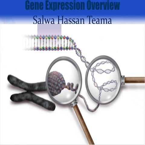 Transcription &translation | PPTX