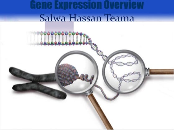 Gene expression system | PPT