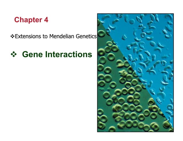 4. Gene interaction - Epistasis - Dominant & Recessive, Non-epistatsis ...