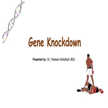 Gene knockdown by Dr. Yasmeen Abdulhadi, BDS.pptx