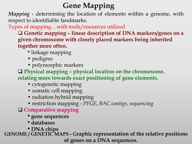 Gene mapping ppt | PPTX
