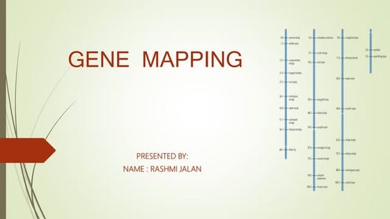Gene mapping ppt | PPT