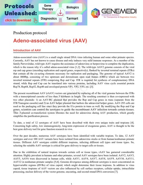 Aav virus particle | PPT