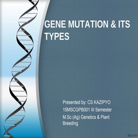 Gene mutations ppt