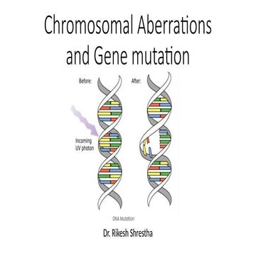 Gene mutation and chromosomal mutation.pptx