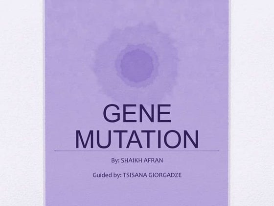 Anatomy of kidney | PPTX | Death, Injury, or Military Conflict ...