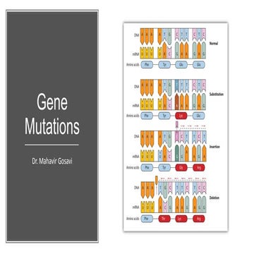 Gene mutations | PPT