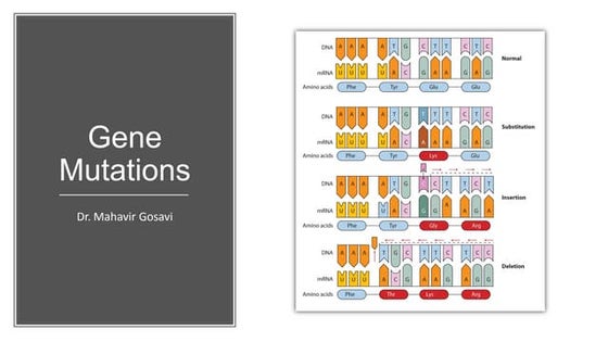 Types of mutation | PPTX