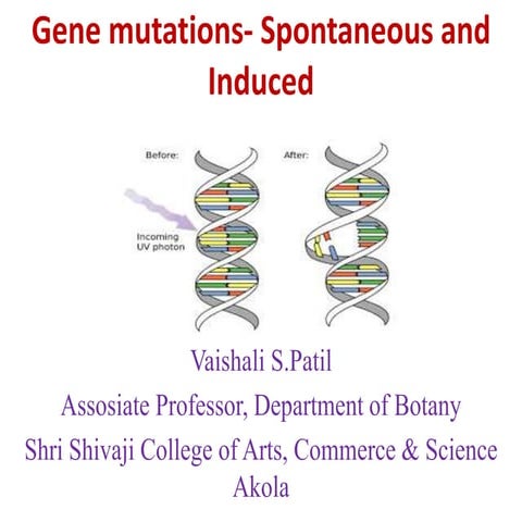 Gene mutations spontaneous and induced | PPTX
