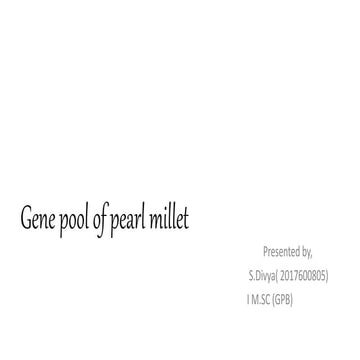 Genepool of pearl millet | PPTX