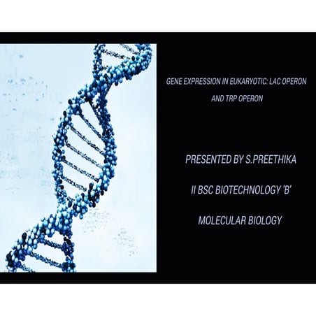 Gene expression in eukaryotes: lac operon and trp operon | PDF