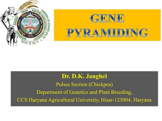 Gene pyramiding | PPT