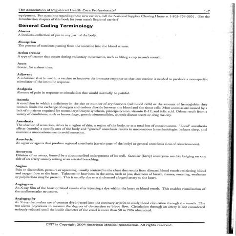 General Coding Terminology | PDF