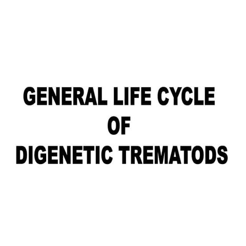 Life-cycle-of-trematodes which will enrich your knowledge if you are ...