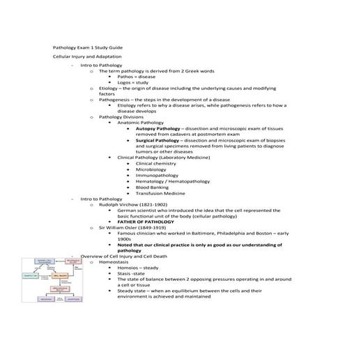 general-pathology-lecture-notes-1-12.pdf