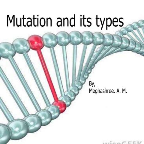 Shoot apex organization and its theories | PPTX