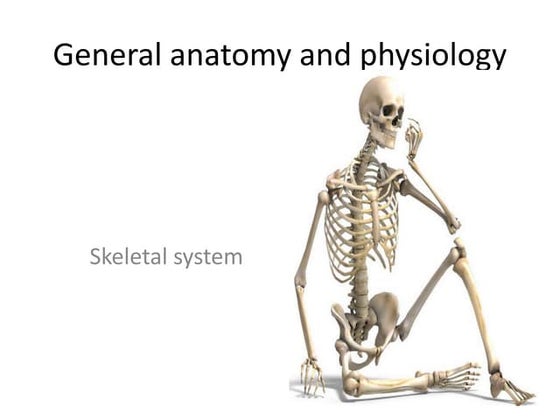 Skeletal system grade IV | PPTX