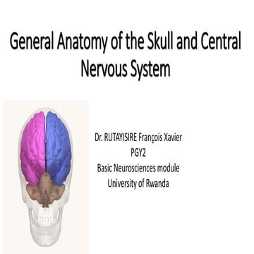 General Anatomy of the Skull and Central Nervous.pptx