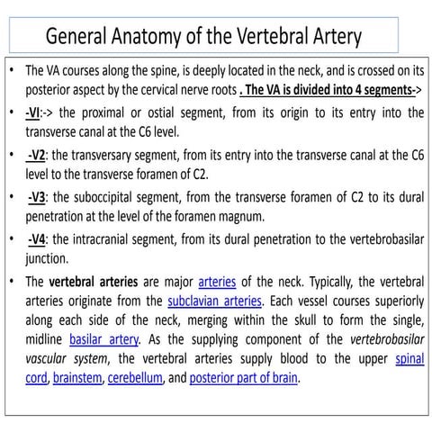 General anatomy of the vertebral artery | PPTX