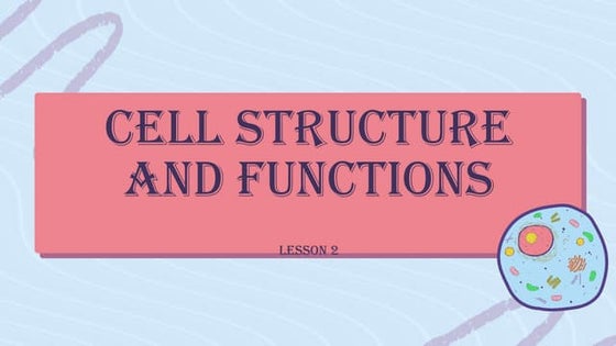 Elodea Plant Cell Structure | PDF | Biological Sciences | Science