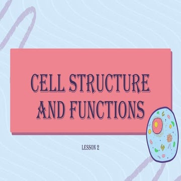 STEM 11 General Biology 1 - Lesson 2.pptx