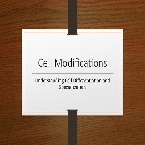 Lesson 4 Cell Modifications | PDF