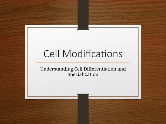 Lesson 4 Cell Modifications | PDF