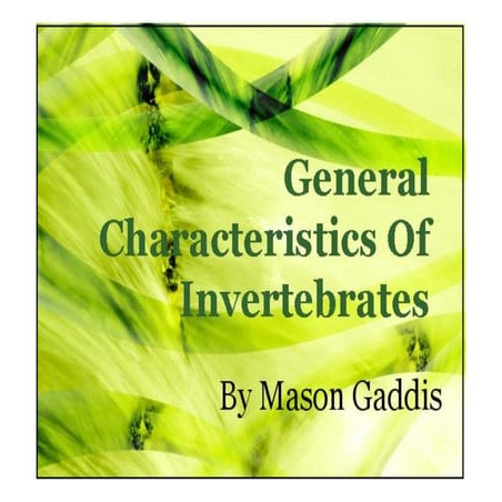 General characteristics of invertebrates | PDF