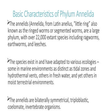 Phylum Annelida Characteristics