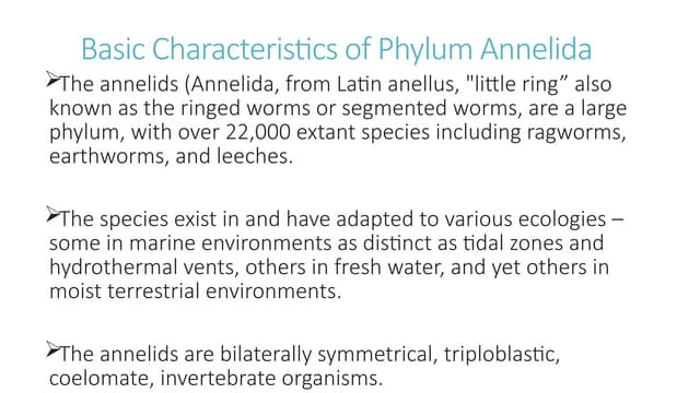 Annelida- General Characters and classification | PPTX