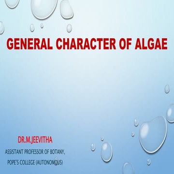 Morphology structure and function of algae.pptx