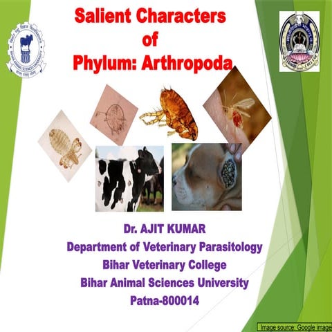 General_Characters_of_Arthropoda in.pptx