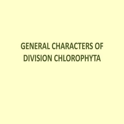 General characters of division chlorophyta 005 | PPTX