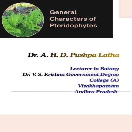 Comprehensive Overview of Pteridophytes: Characteristics, Life Cycle ...