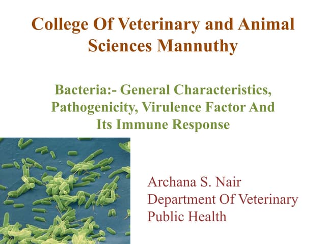 Reproduction In Bacteria Pptx