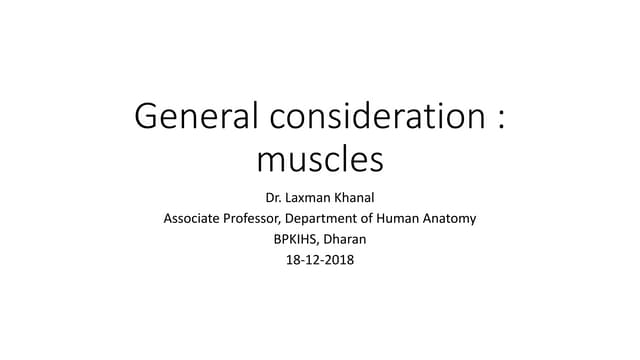 Anatomy of Back of fore arm and dorsum of hand | PDF