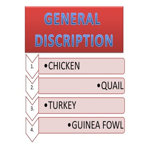 General discription of poultry | PPTX