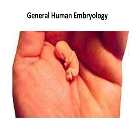 General embryology for PGMW 2014.hgfffypptx | PPTX