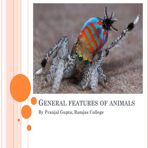 General features of animals, biodiversity, biology | PDF