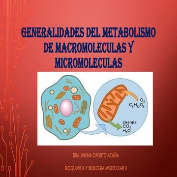 GENERALIDADES DEL METABOLISMO DE MACROMOLECULAS Y MICROMOLECULAS.pptx